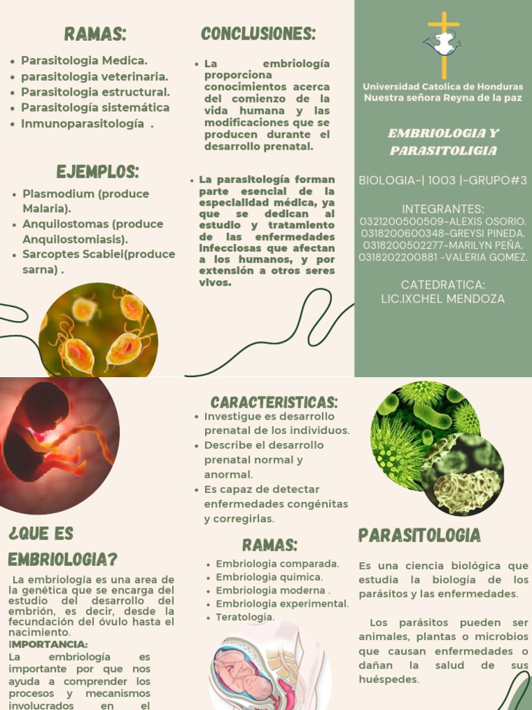 Trifolio Biologia Grupo#3 | PDF | Parasitología | Biología