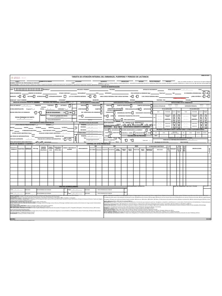 Tarjeta de Embarazo, Puerperio y Lactancia-SIS-38-P 2023 | PDF | El embarazo | Partería