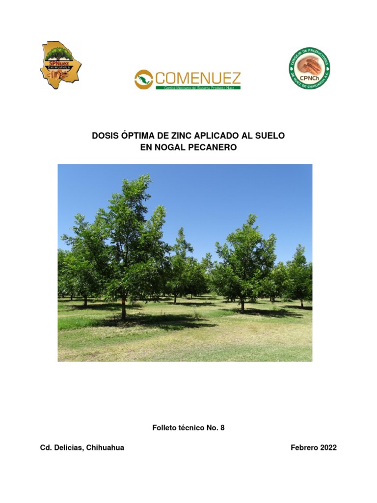 Dosis Óptima de Zinc en Nogal Pecanero | PDF | Riego | Arboles