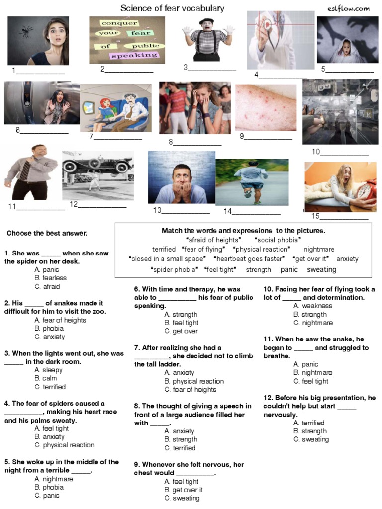 Understanding Fear: Vocabulary Guide | PDF | Language Arts & Discipline ...