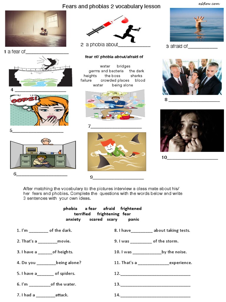 Vocabulary Lesson: Fears and Phobias | PDF