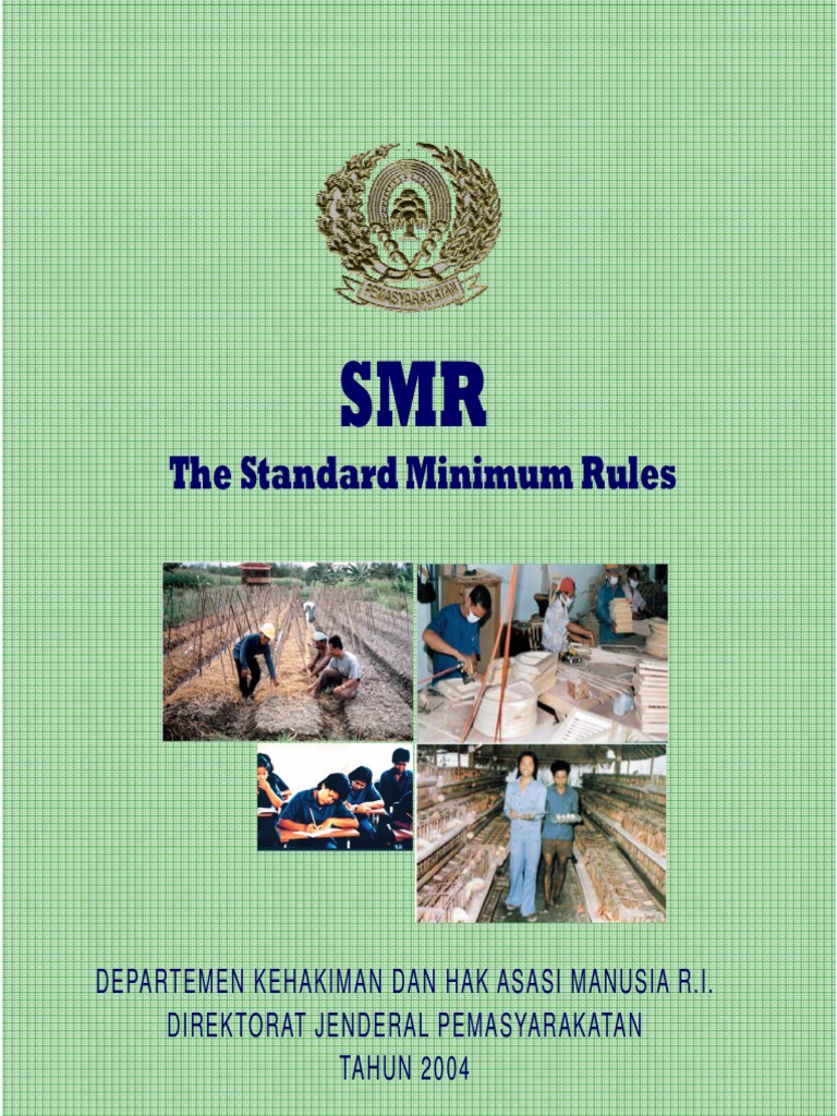 The Standard Minimum Rule | PDF | Science & Mathematics | Technology ...