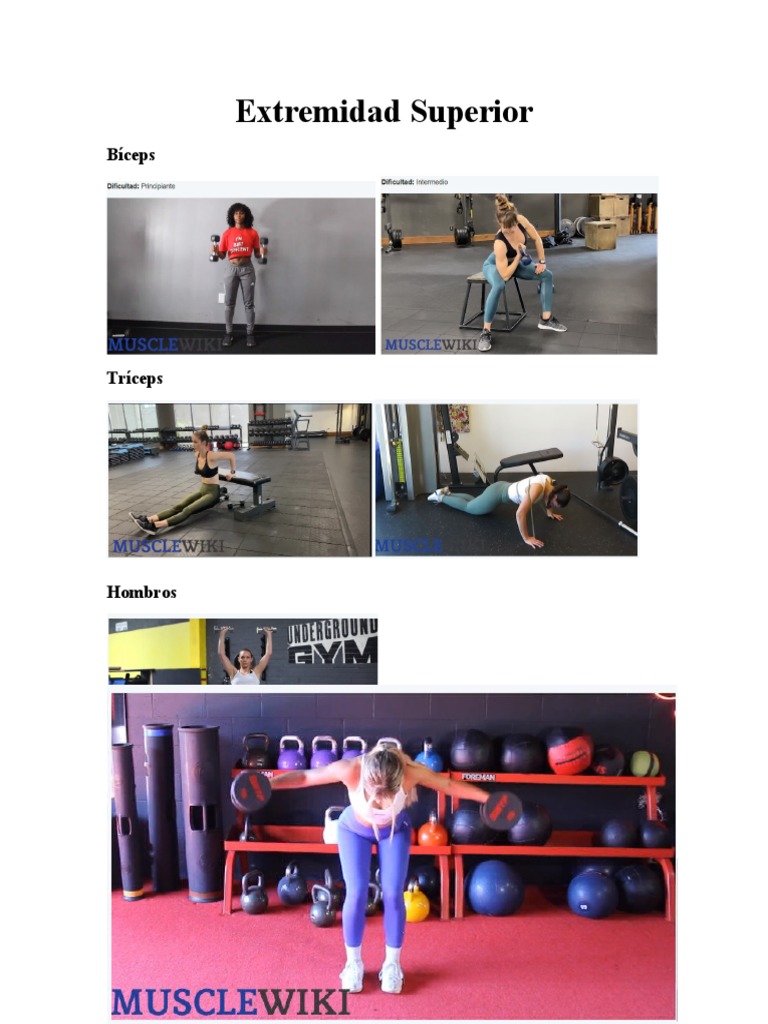 Rutina de Ejercicios EESS | PDF