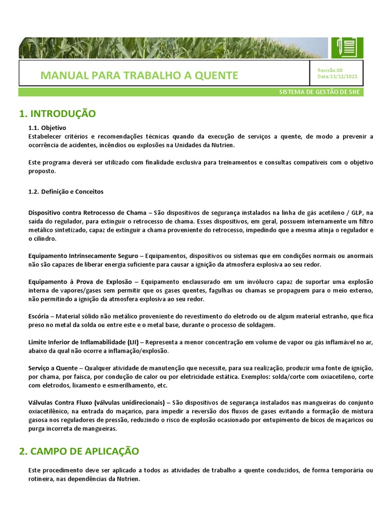 Procedimento - Trabalho A Quente | PDF