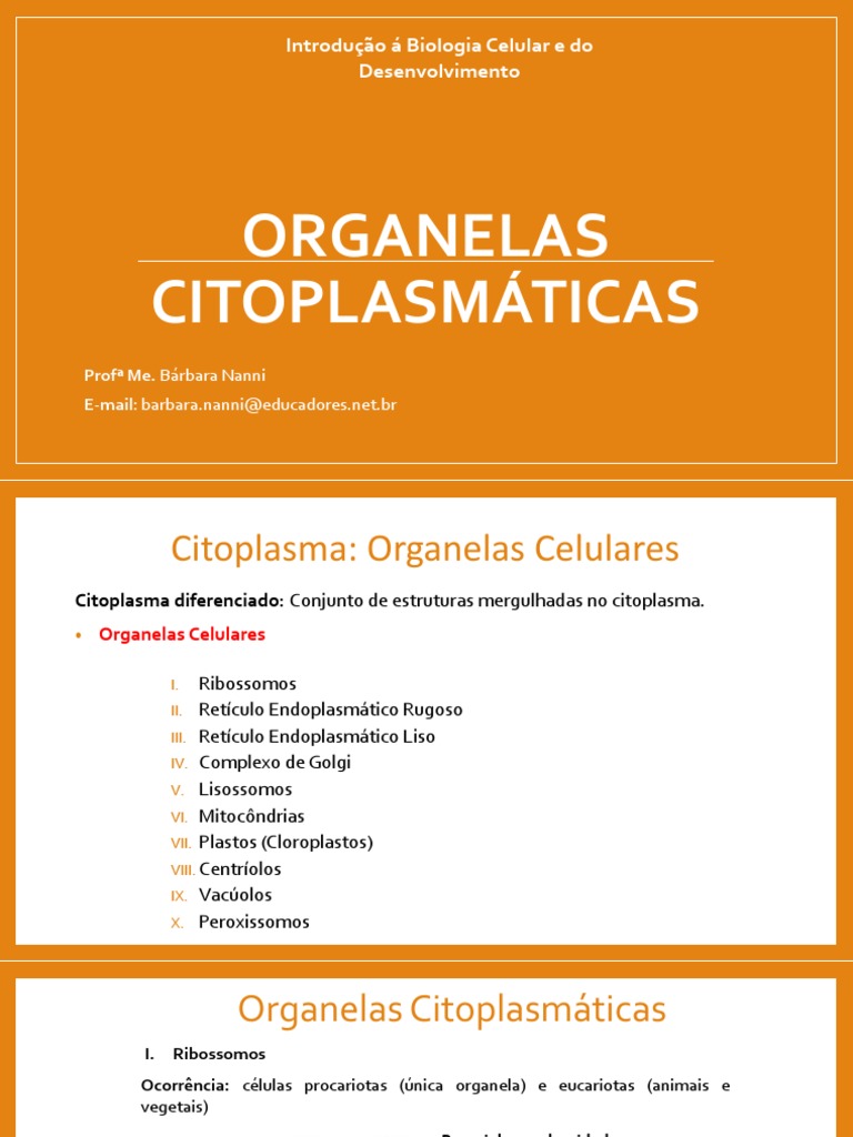 Organelas+Citoplasm%C3%A1ticas 2 | PDF