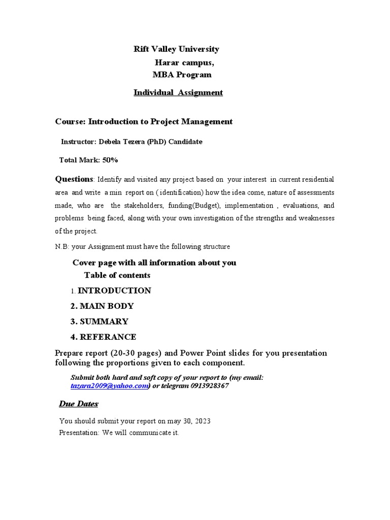 Project Management Assignment Guide | PDF | Art