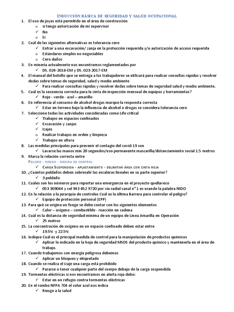 Induccion Basica de Sso | PDF