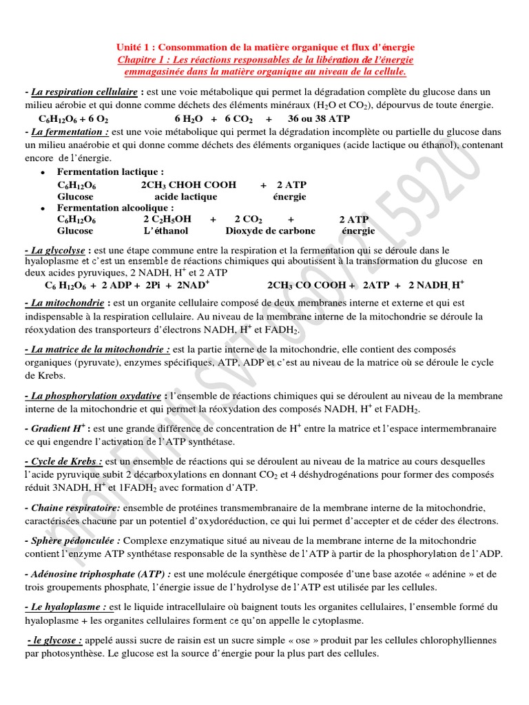 Définitions SVT 2 Bac PC Semestre 1 | PDF | Acide ribonucléique ...
