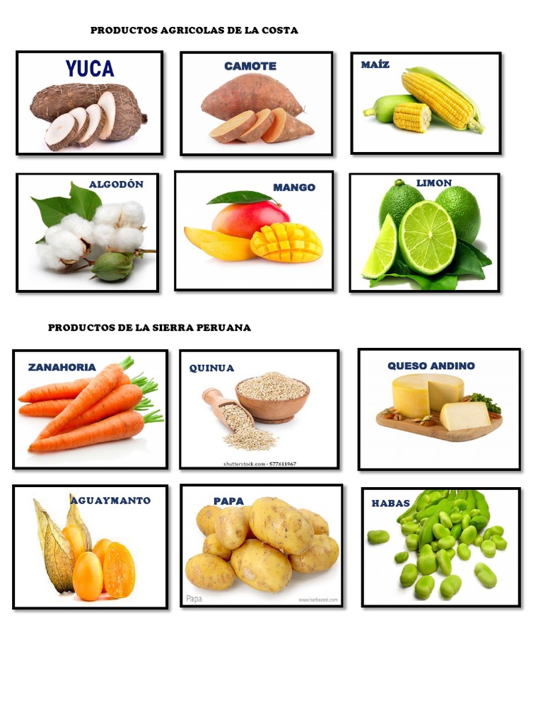 Productos Agricolas de La Costa | PDF