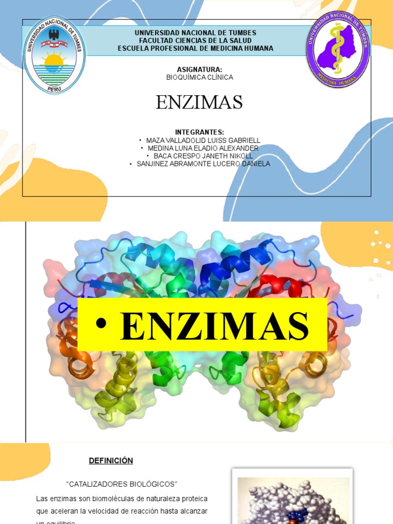 ENZIMAS | PDF | Inhibidor de la enzima | Enzima