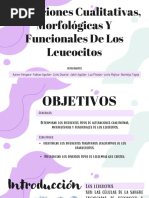 Alteraciones Morfológicas de Los Eritrocitos | PDF | Medicina CLINICA ...