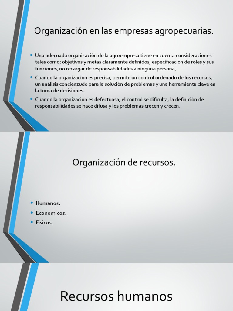 Organización Eficiente en Agroempresas | PDF | Bienes | Planificación