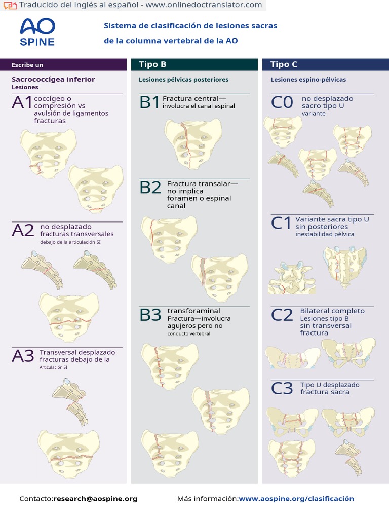 AOS - Injury - Classification - Pocket - Card SACRAL (1) .En - Es | PDF ...