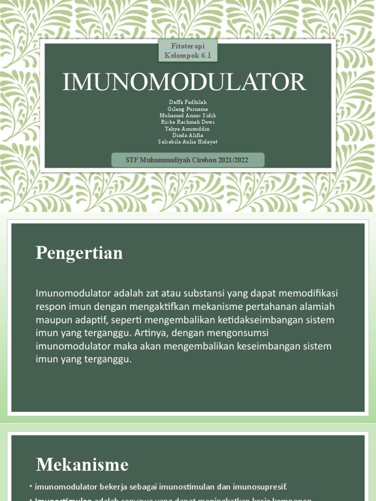 Imunomodulator Kelompok 6.1 | PDF