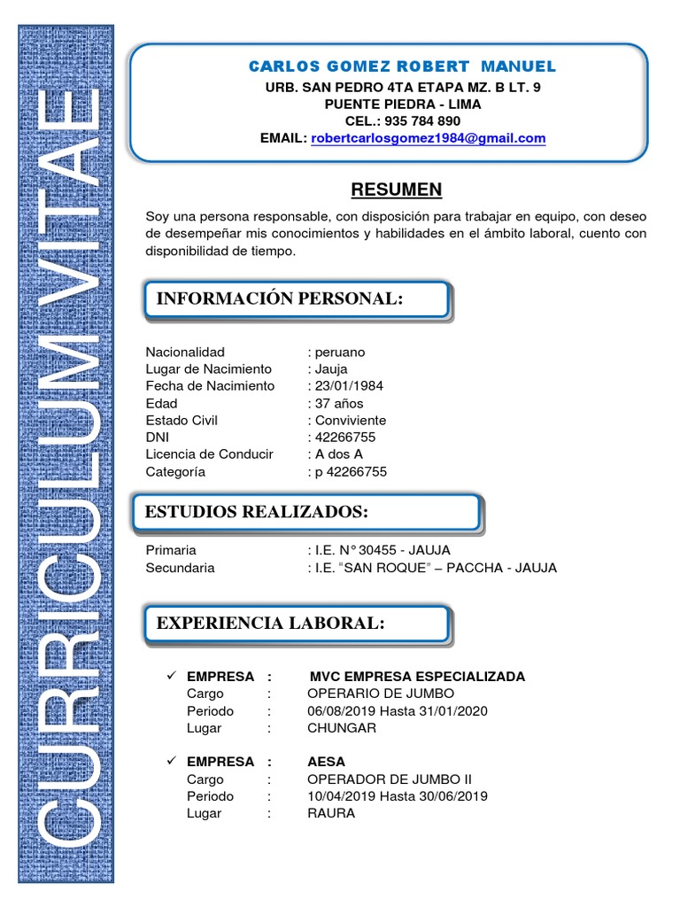 Curriculum Robert Manuel Carlos G. | PDF | Crecimiento personal y profesional