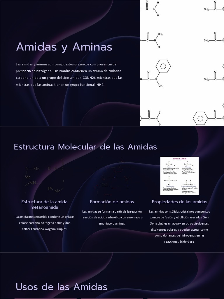 Presentacion de Las AMIDAS y Las AMINAS | PDF | Amida | Amina