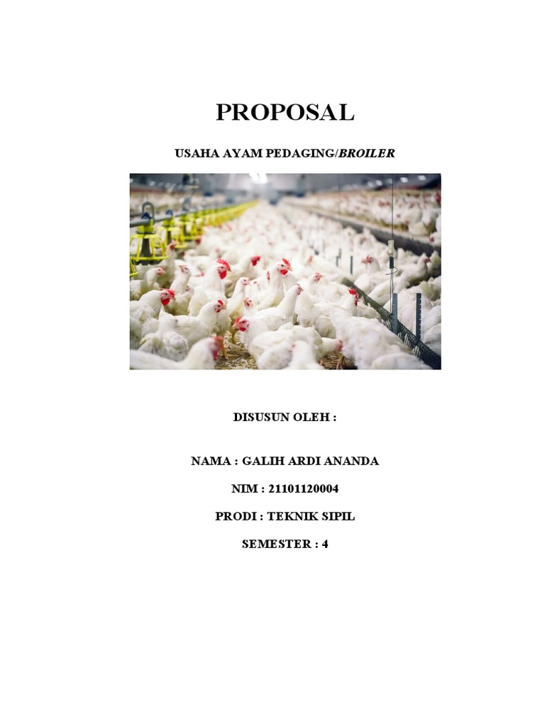Proposal Usaha Ayam Broiler Salinan | PDF