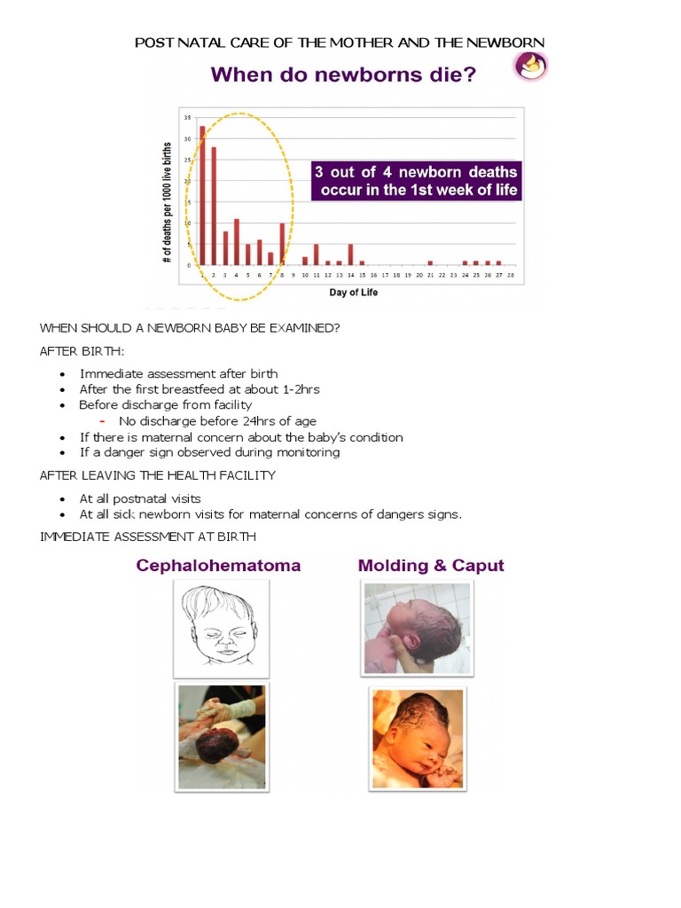Post Natal Care of The Mother and The Newborn | PDF | Postpartum Period ...
