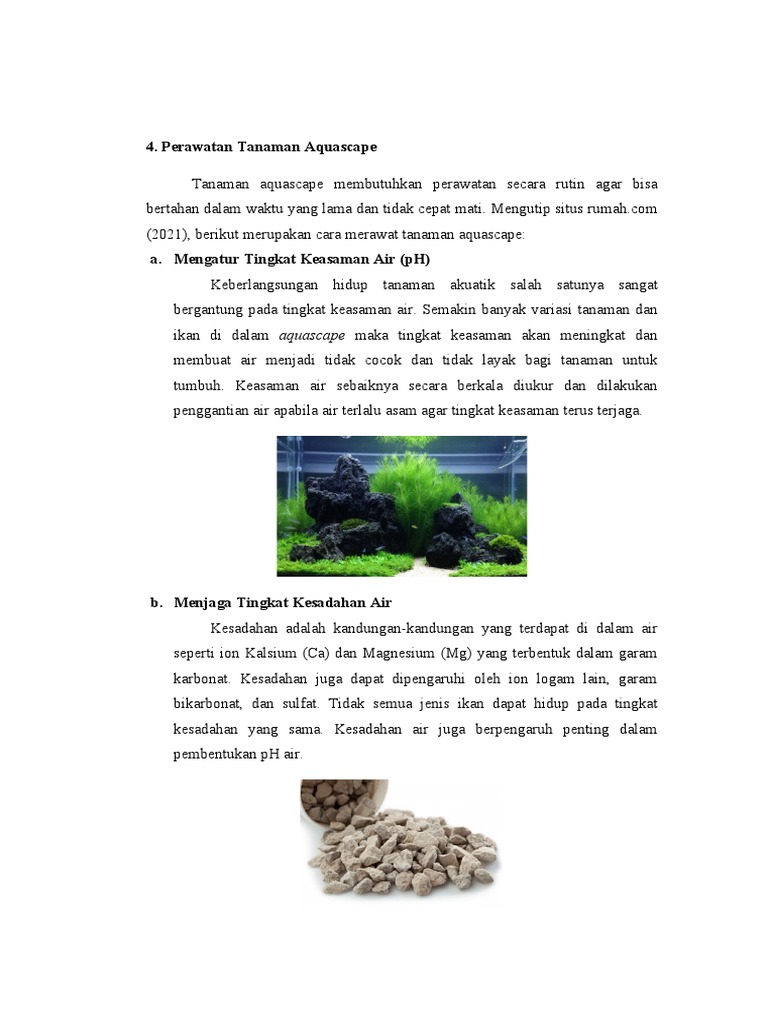 Makalah Aquascape Jenis-Jenis Tanaman Air | PDF | Sains & Matematika