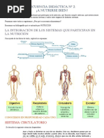 Proyecto sobre sistemas del cuerpo humano | PDF | Sistema digestivo ...