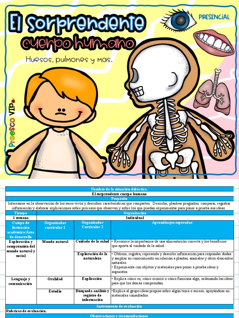 Plan El Sorprendente Cuerpo Humano | PDF | Evaluación | Respiración