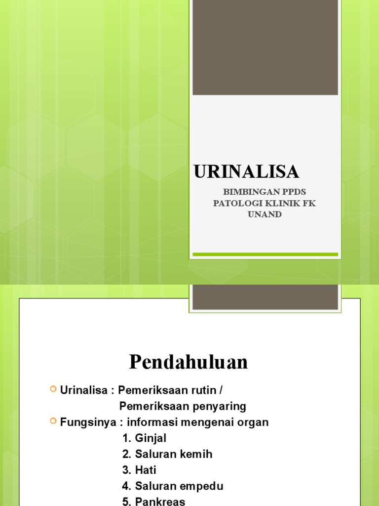 Bimbingan Urinalisa | PDF
