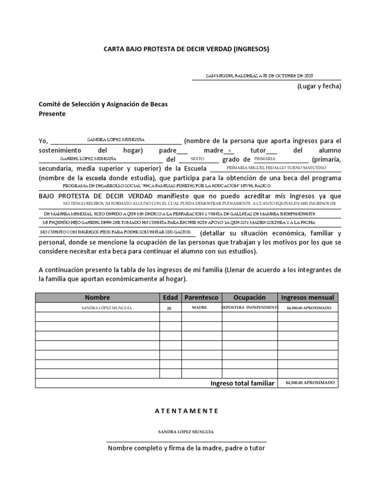 Carta bajo protesta de decir verdad dis | PDF