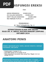 Panduan Obat Inotropik | PDF