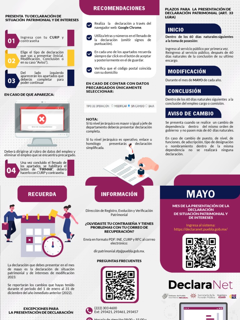 Declaranet Triptico | PDF