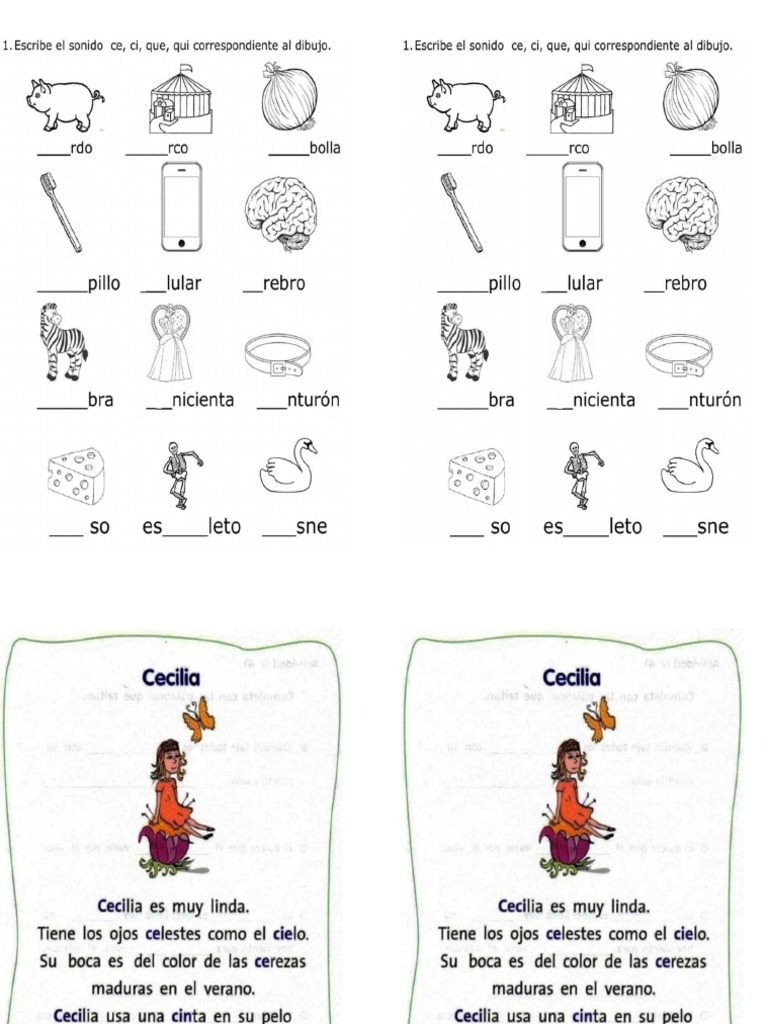 Ce Ci Cuaderno | PDF