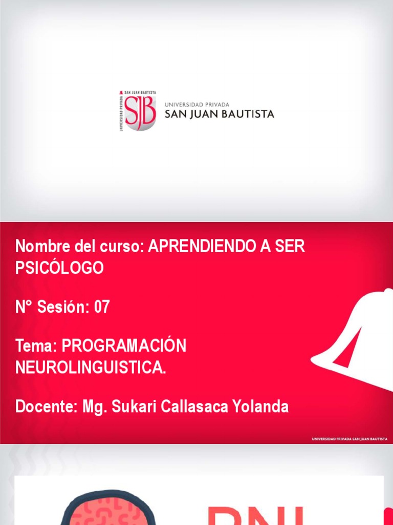 Tema 07 PNL | PDF | Programación neurolingüistica | Sicología