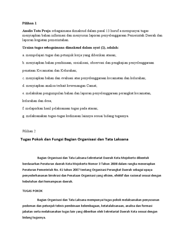 Analis Tata Praja Dan Tata Laksana Organisasi | PDF Analis Tata Praja Dan Tata Laksana Organisasi | PDF