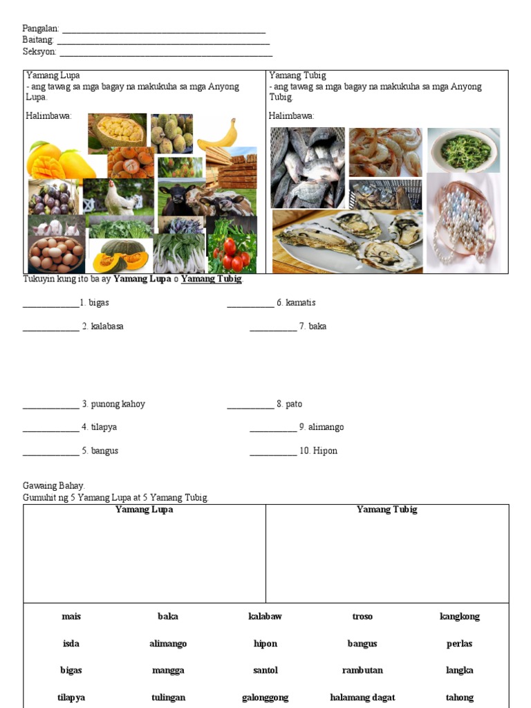 Yamang Lupa At Yamang Tubig Pdf