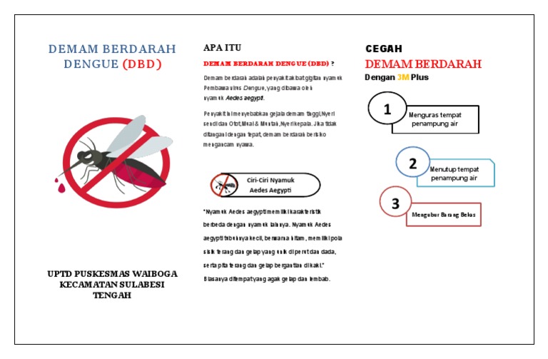 Leaflet DEMAM BERDARAH DENGUE | PDF