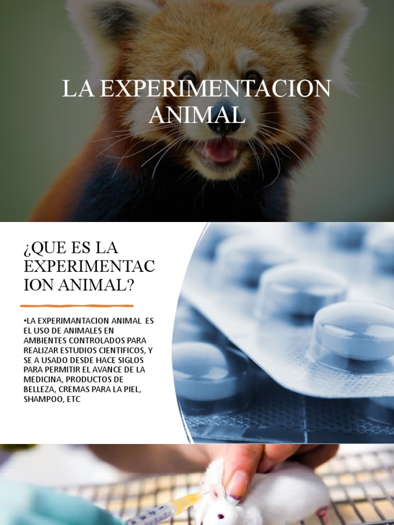 La Experimentacion Animal | PDF