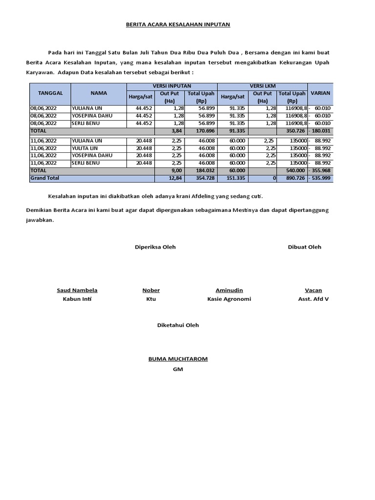 Berita Acara Kesalahan Inputan | PDF