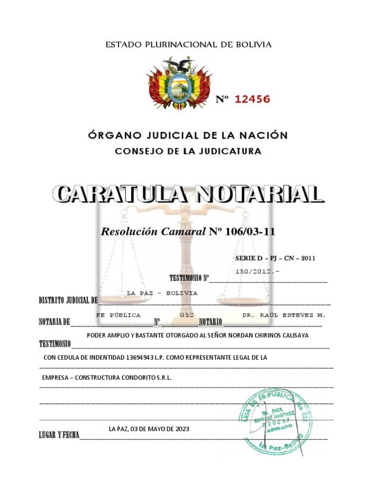 SEÑOR NOTARIO DE FE PÚBLICA | PDF