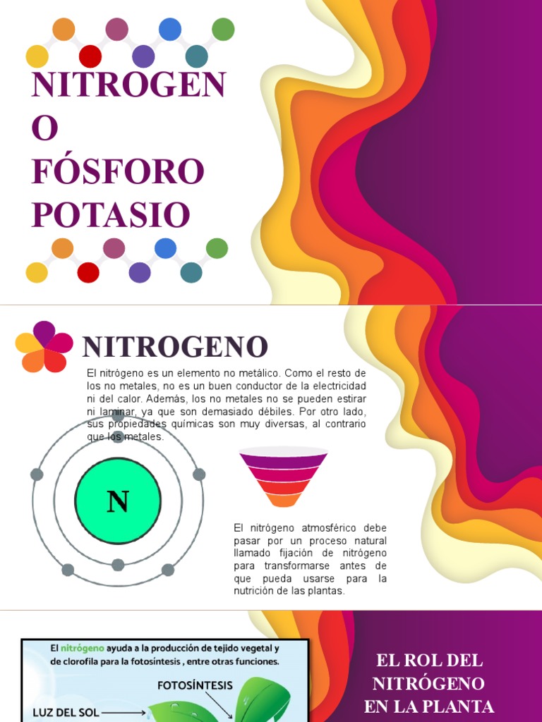 Nitrogen O Fósforo Potasio | PDF | Fertilizante | Nitrógeno