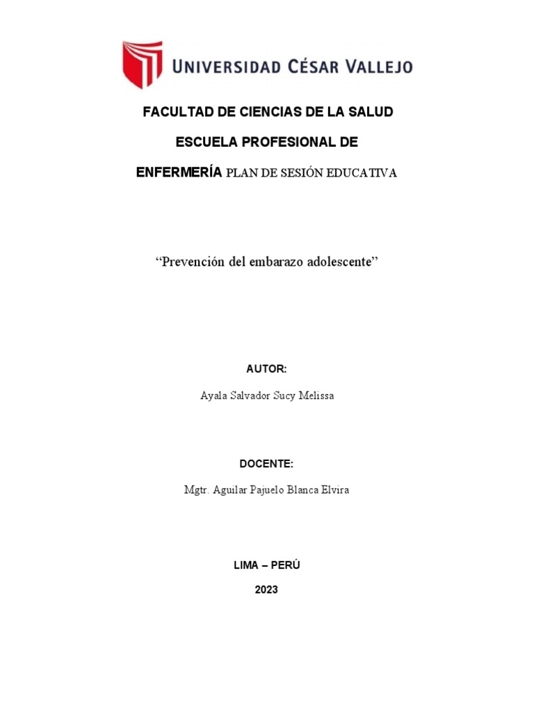 Plan de Sesión Educativa - (Modelo Virtual) .Docx (1) (1) | PDF | El embarazo | Control de la ...