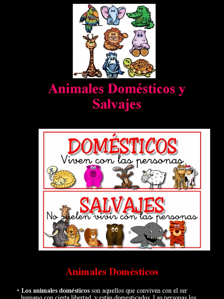 Animales Domésticos y Salvajes | PDF | Mascota | Domesticación