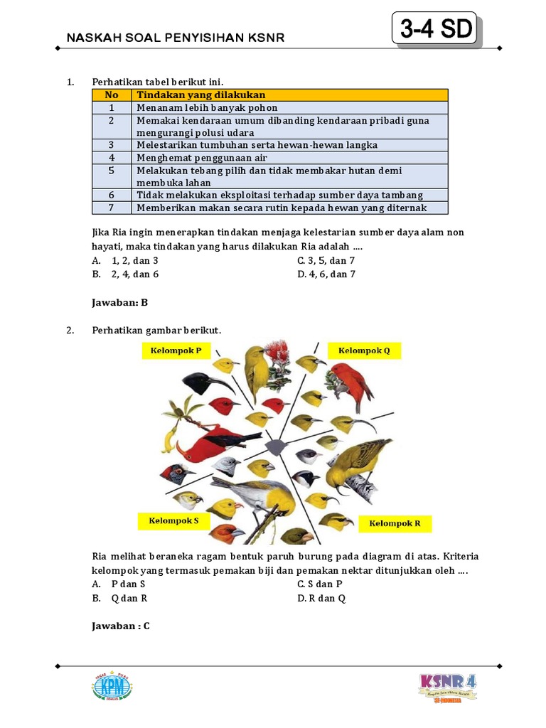 NS Penyisihan KSNR 3-4 2022 | PDF
