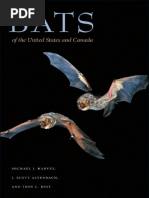 Bat Morphology and Foraging Ecology | PDF | Bat | Foraging