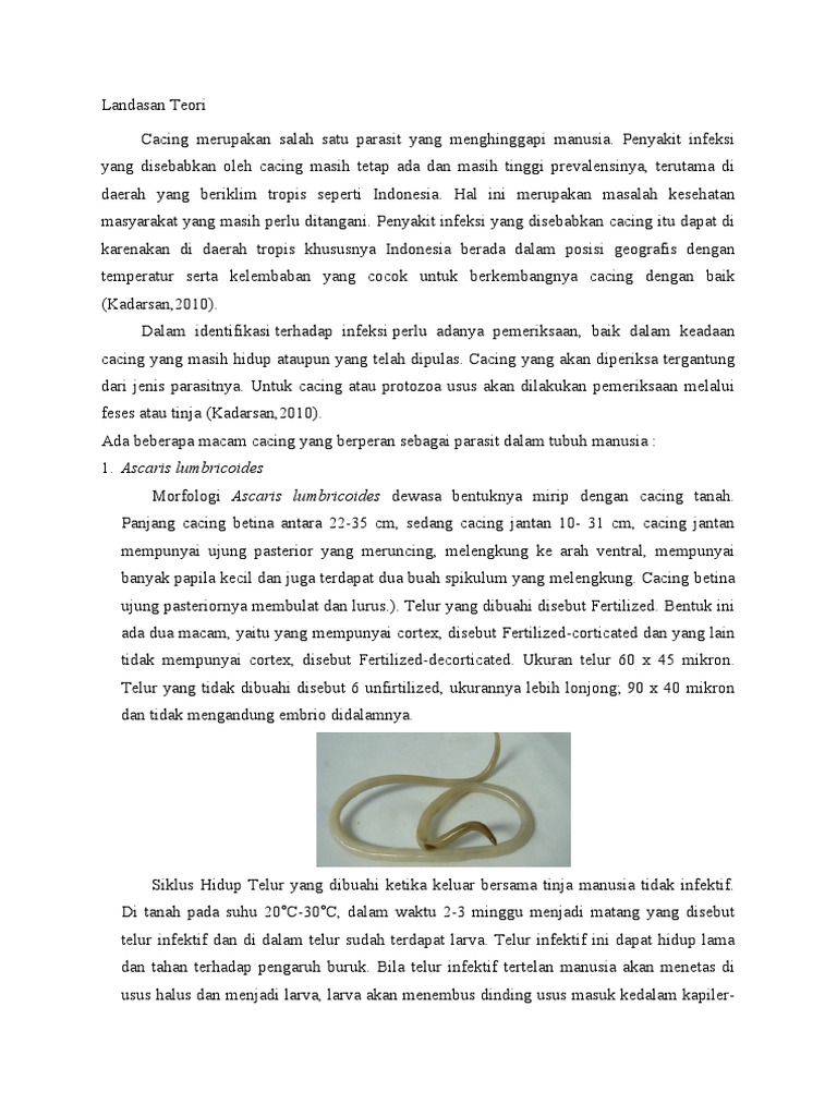 Landasan Teori | PDF