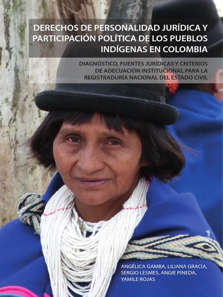 Derechos Personalidad Juridica Pueblos Indigenas Pdf Estado