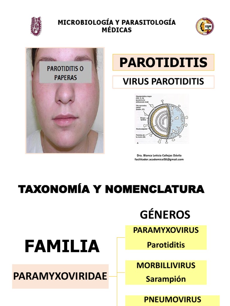 Virus Parotiditis | PDF | Causas de la muerte | Virología
