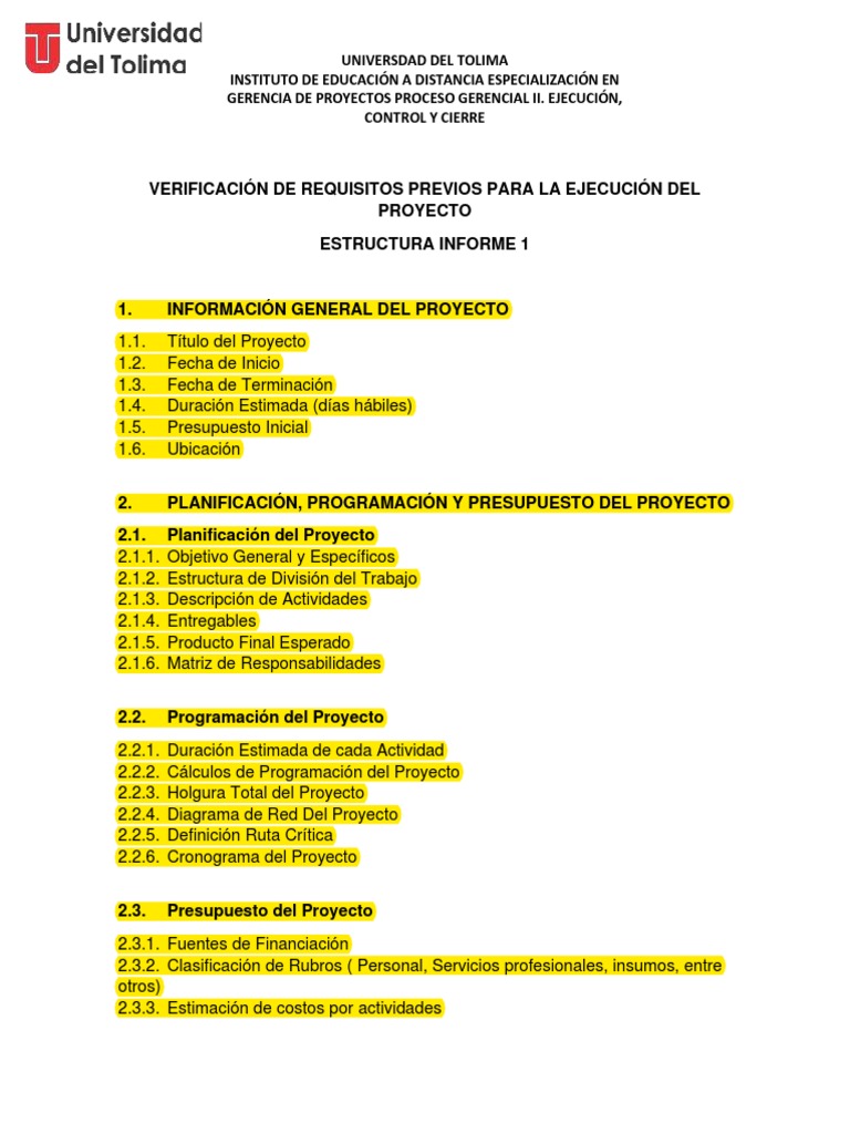 10 06 2023-Estructura Informe Final | PDF | Presupuesto | Software