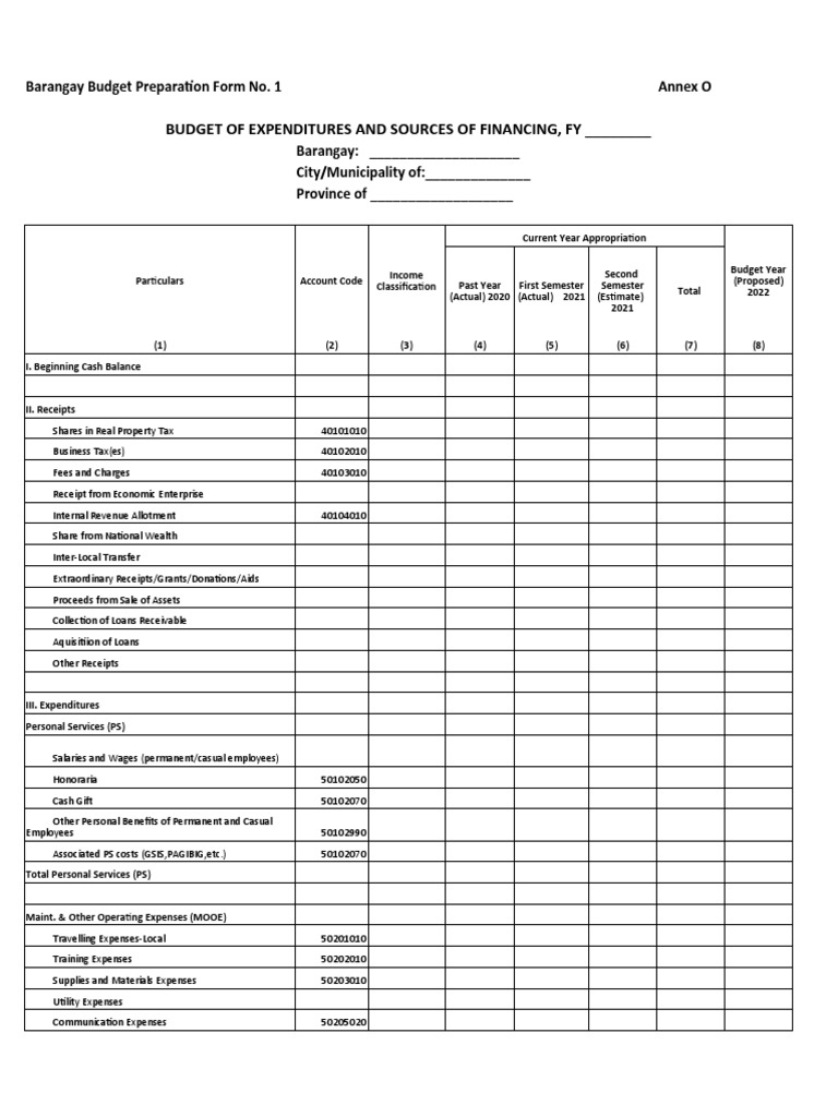 New Form Barangay Budget Preparation File | PDF | Expense | Taxes