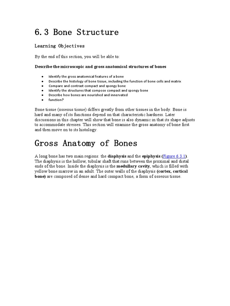 Bone Anatomy Good Notes | PDF | Bone | Osteoblast