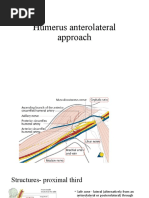 Palmar Approach - Modified Henry Approach | PDF | Hand | Human Anatomy