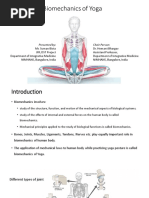 Convict Conditioning Charts | PDF | Arm | Musculoskeletal System